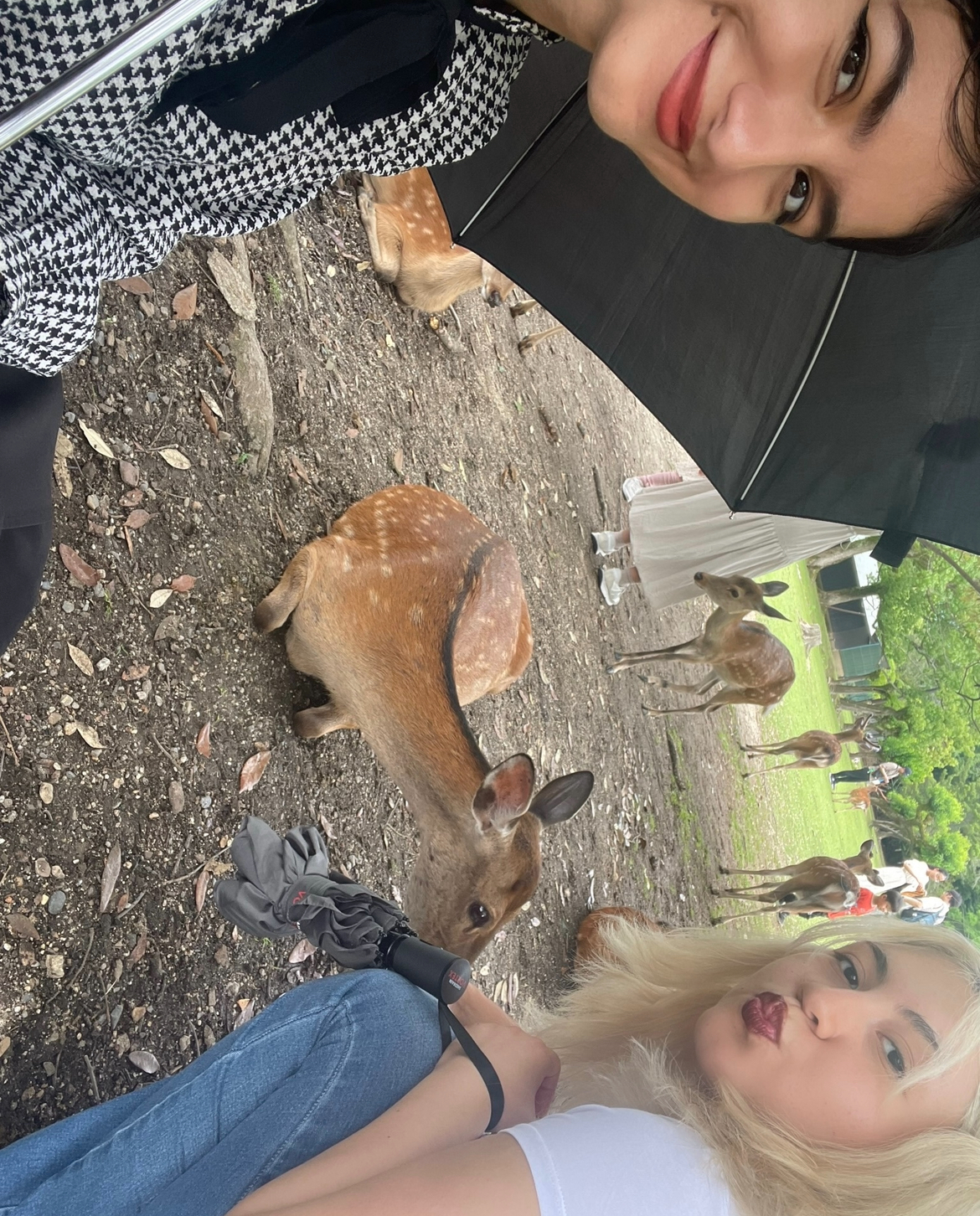 Interests: Learn More About Me – Rachel Alvarado